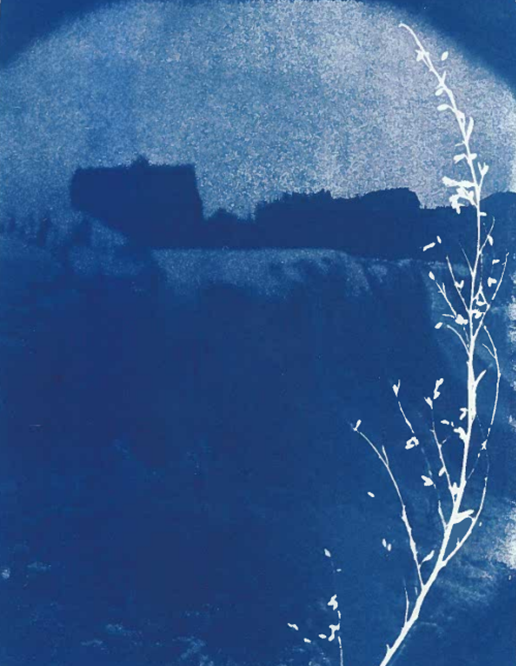 Cyanotpye of Upper Falls in Winter – RUNDELANIA